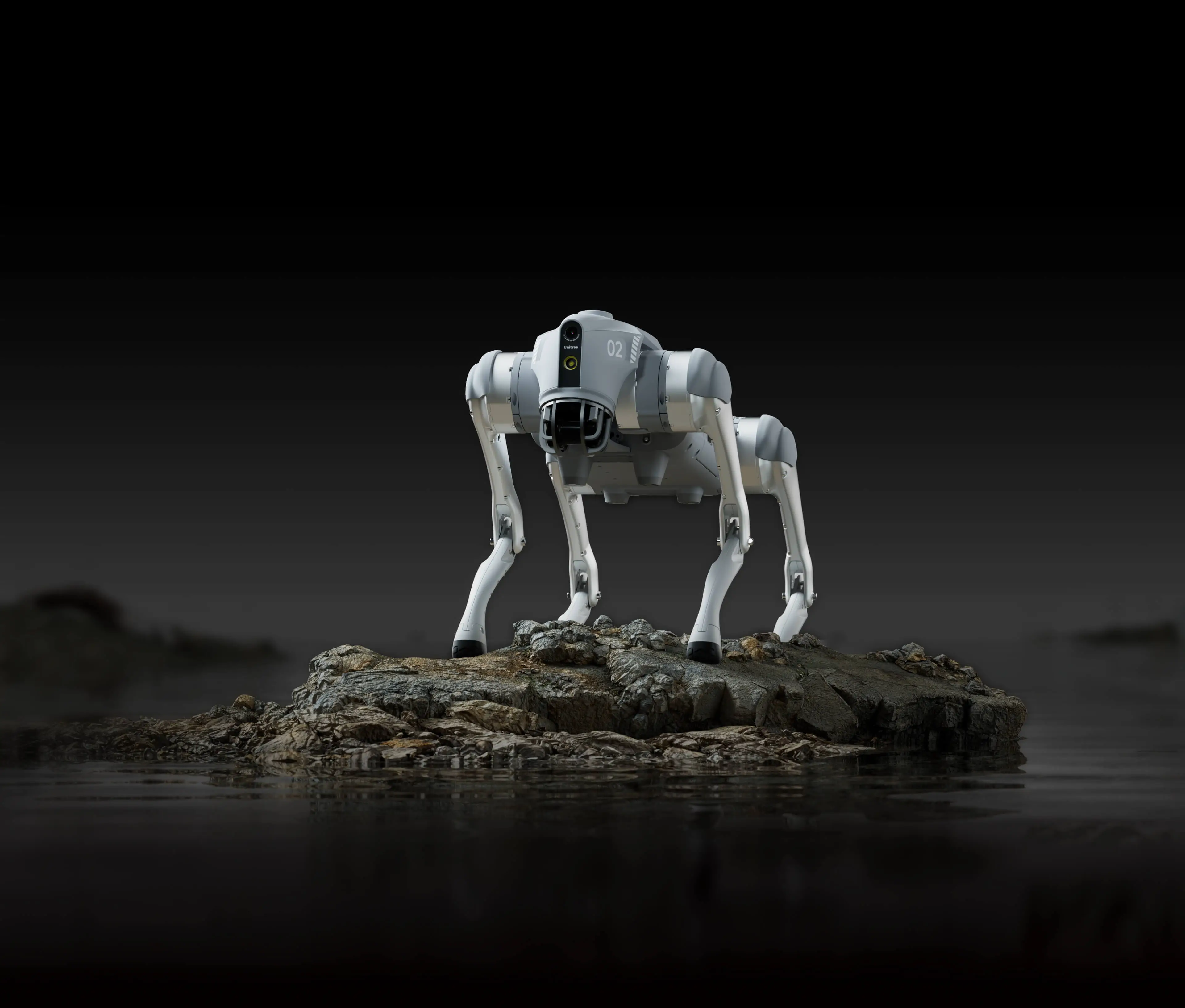 Robot Dog Go2 - Intelligent New Species - Unitree